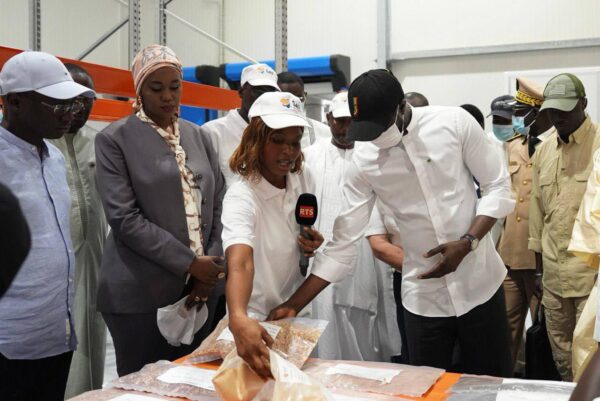 Diomaye Faye inaugure la première usine de transformation d’oignon au ...
