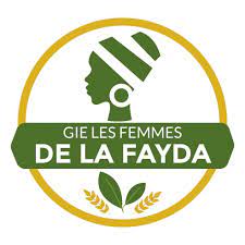 Le GIE des femmes de la Fayda de Kaolack : Pionnières de l ...